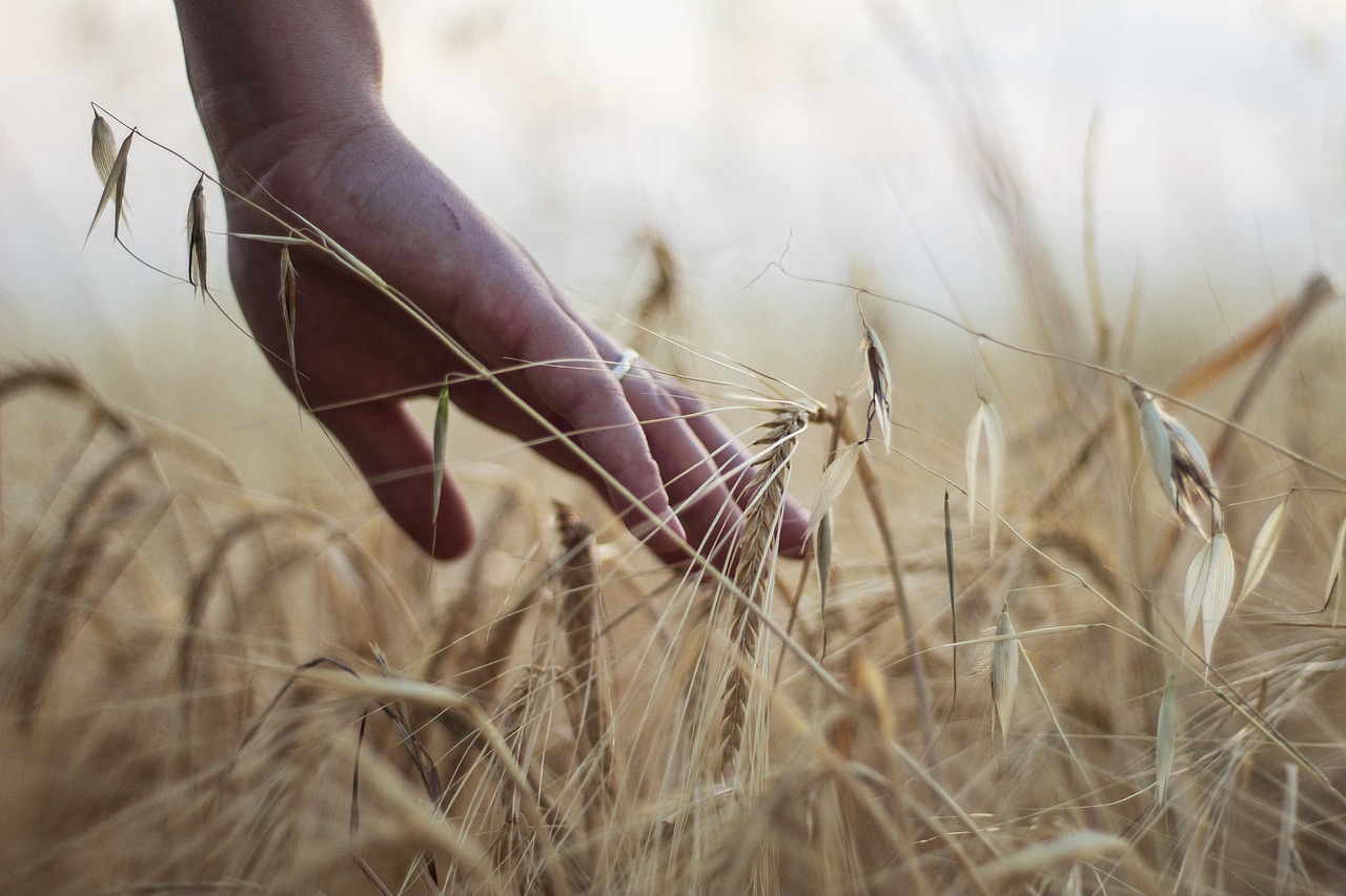 The Use It or Lose It Principle – Tom’s Blog
