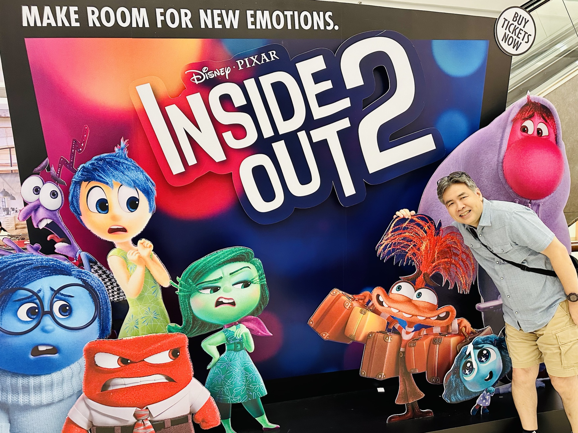 Emotions, Meta-Cognition, and True Self-Acceptance in “Inside Out 2 ...