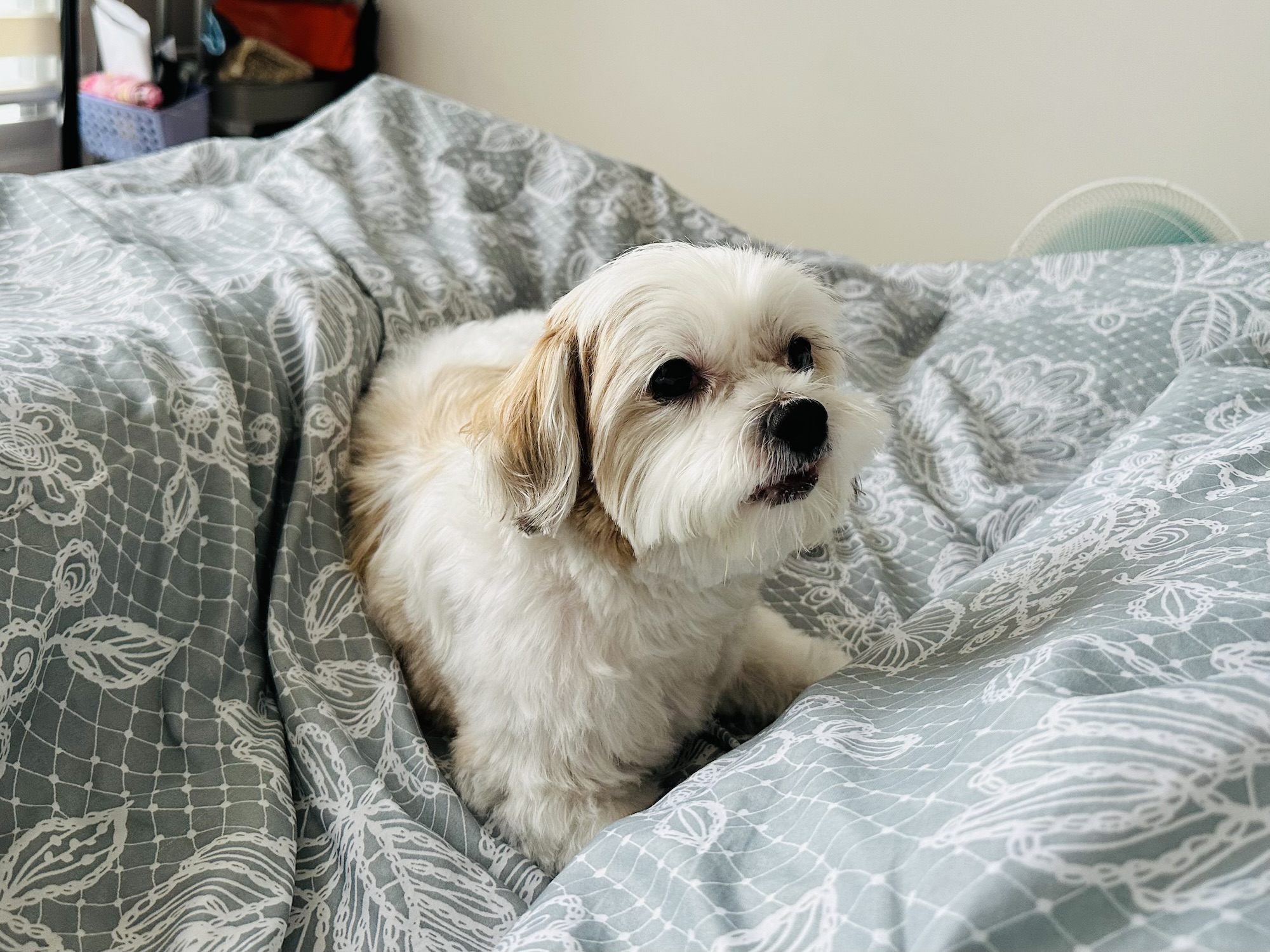 The Surprising Connection Between Sleep and Writing – Tom’s Blog